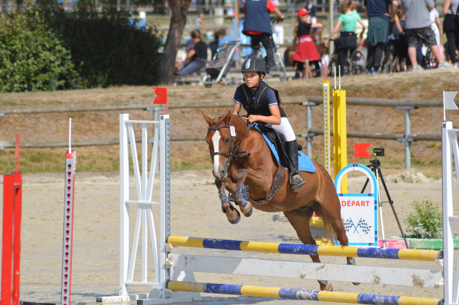 Activités - Centre Équestre de la Montglonnière